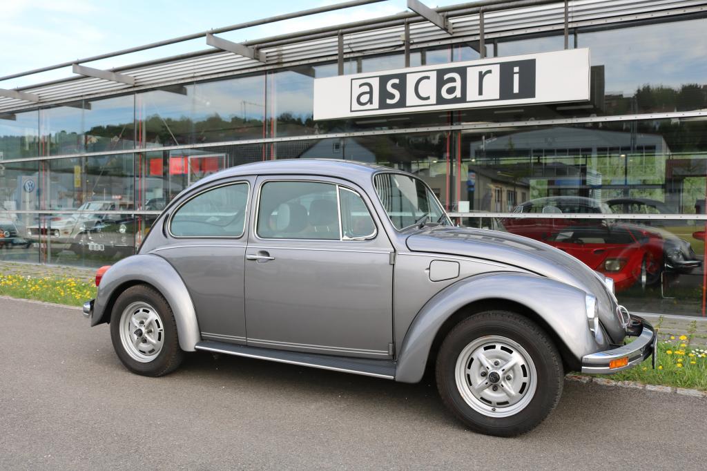 VW Käfer 1200 Jubiläum 7750 Km | ascari GmbH